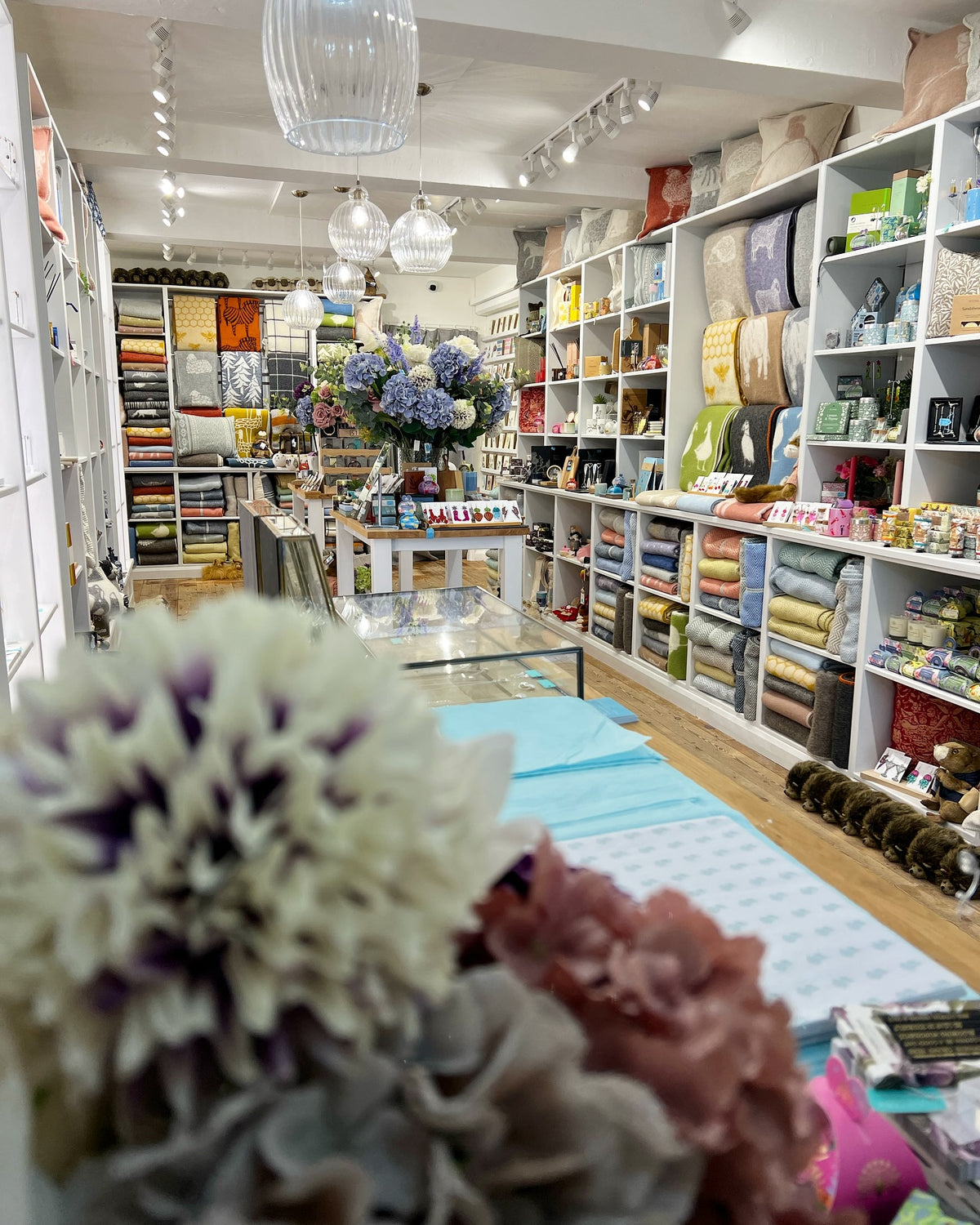 Our Stores – Just Lily